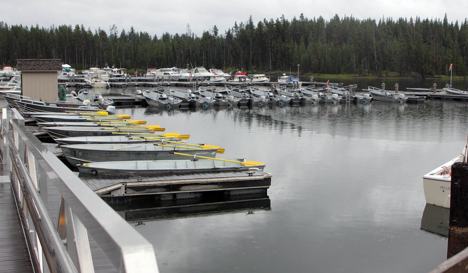 Yellowstone Lake Boat Rentals: Explore National Park Waters